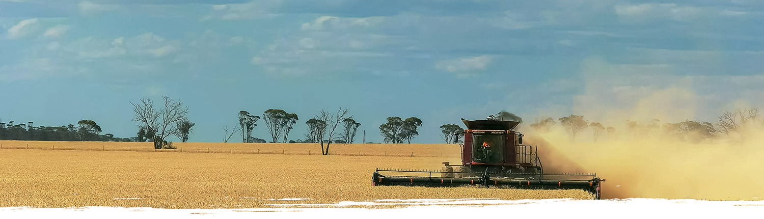 Farm Work Australia | Ultimate Adventure Travel