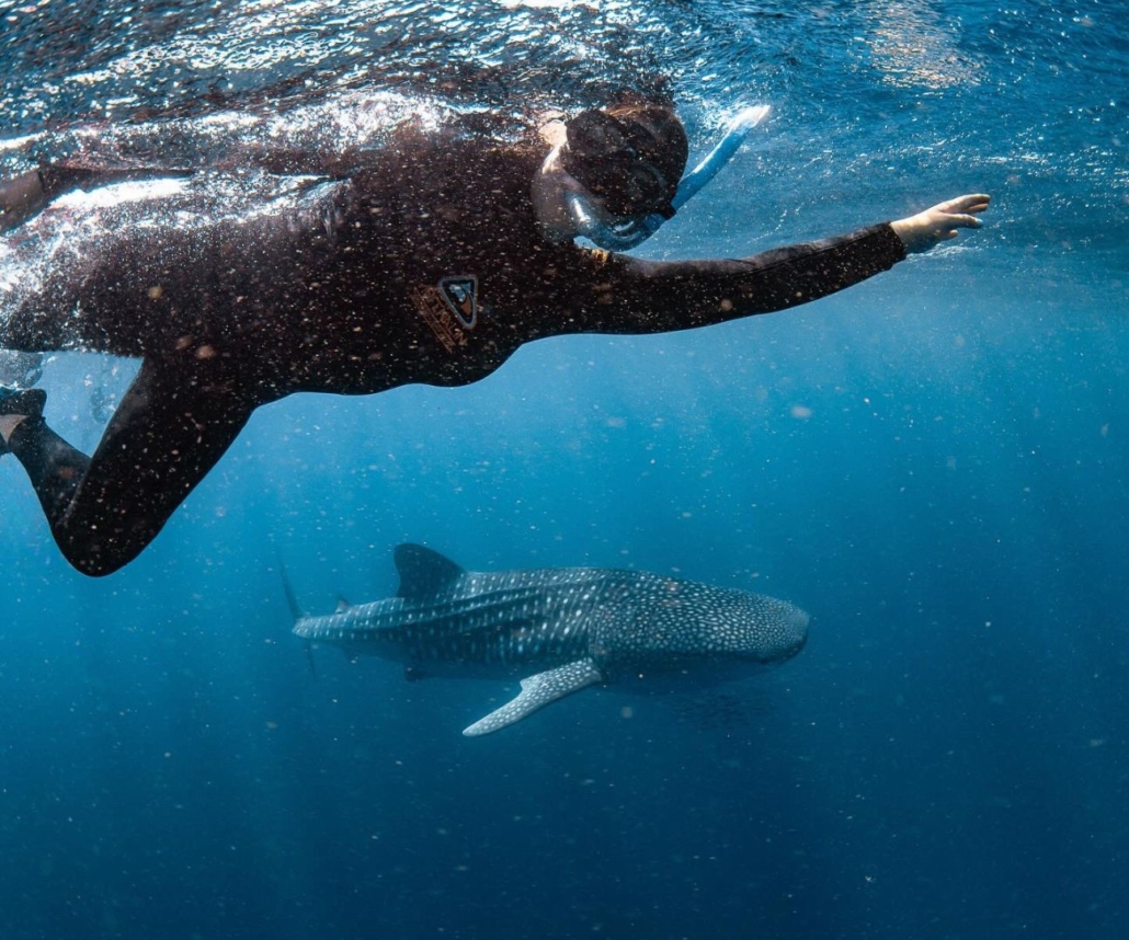 West Coast Explorer Group Tour | 10 Day Adventure | ULTIMATE